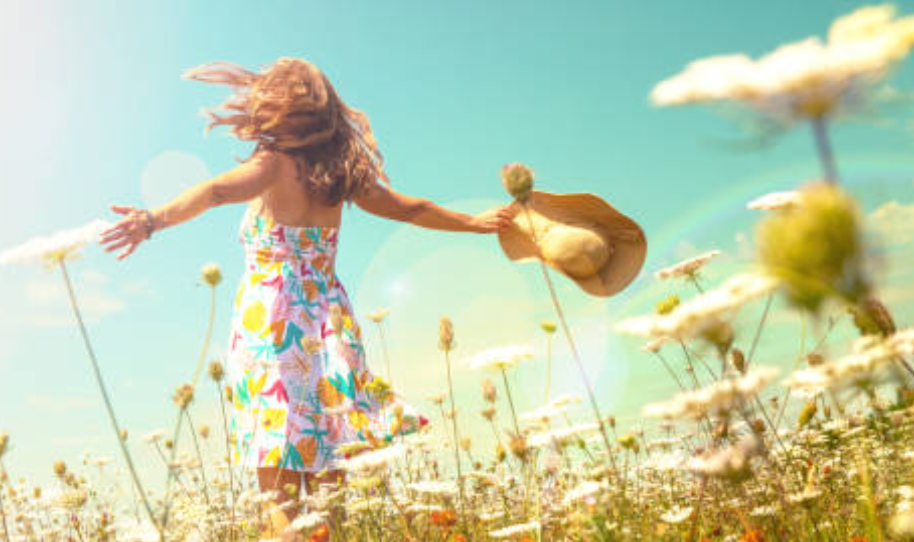 East : Air – Wild and Rooted Sanctuary